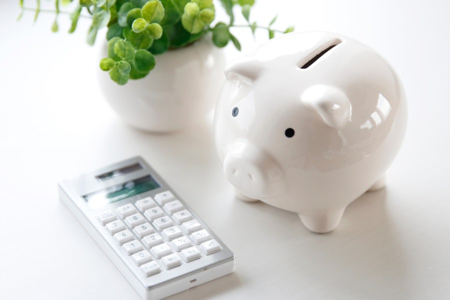 A Comprehensive Guide to Checking vs. Savings Accounts ...